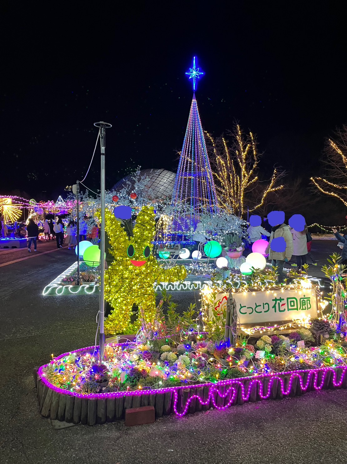 まだ間に合うイルミネーション!100万球の光に打ち上げ花火も!|とっとり花回廊 Na Na(ナーナ)|鳥取・島根のグルメ、おでかけ、暮らし